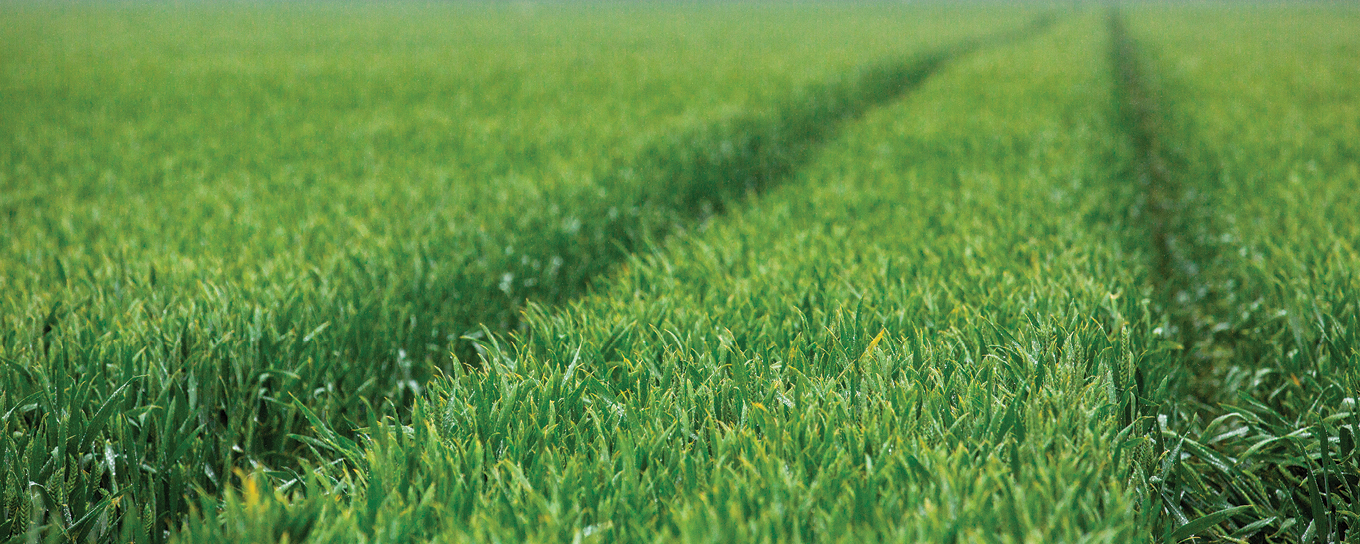 Getting lime on early for next season's spring sown crops | PGG Wrightson