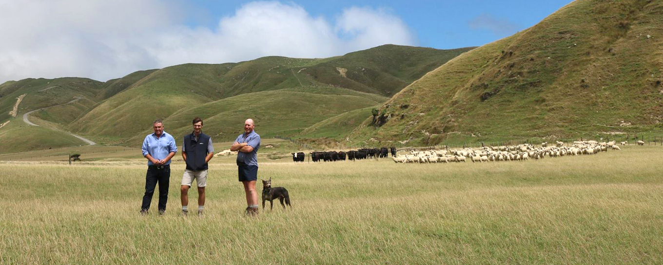 Go products provides flexibility | PGG Wrightson