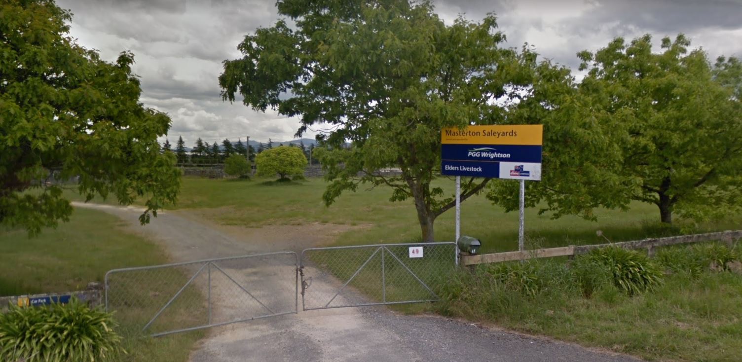 Masterton Saleyards Upgrade | PGG Wrightson