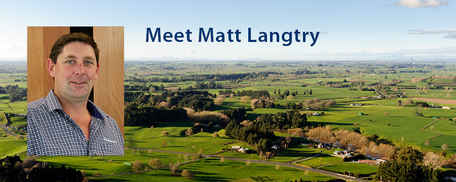 Waikato Livestock Market Update: Meet Matt Langtry | PGG Wrightson