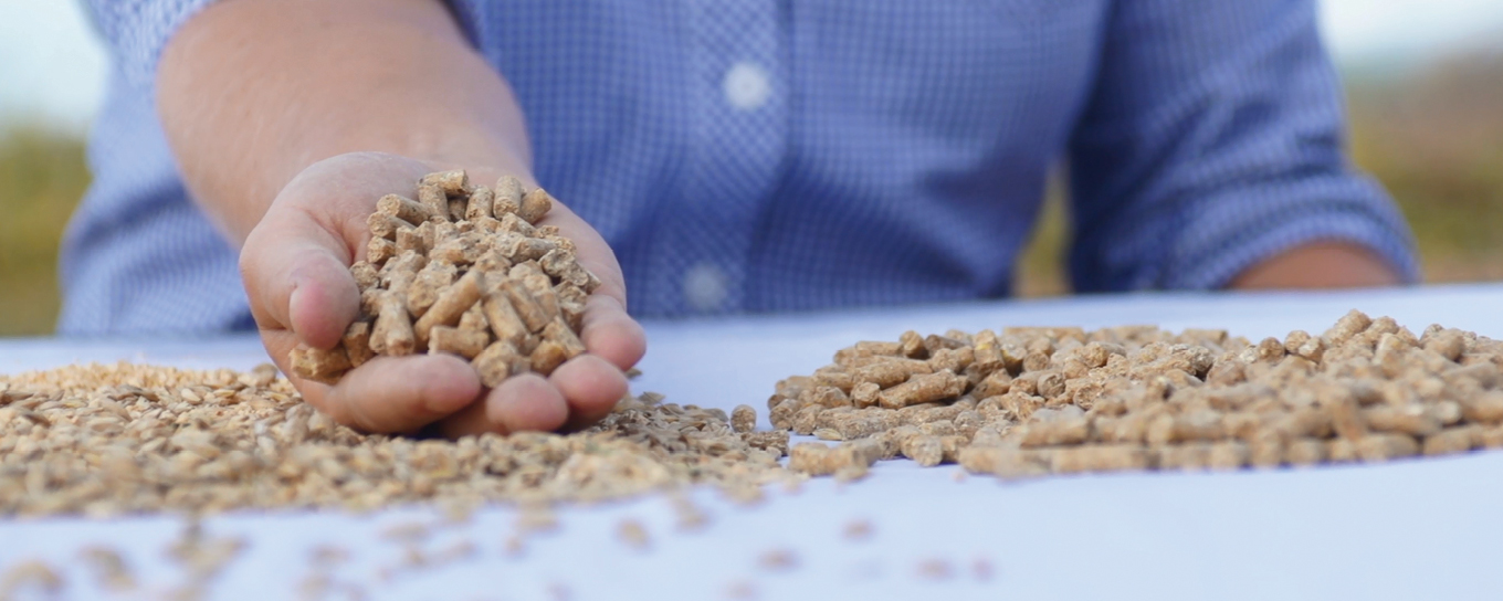 Harnessing the power of the pellet | PGG Wrightson