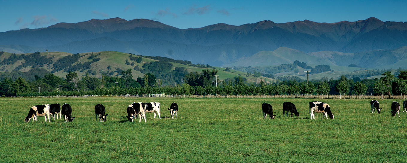 Protect pasture from pests | PGG Wrightson