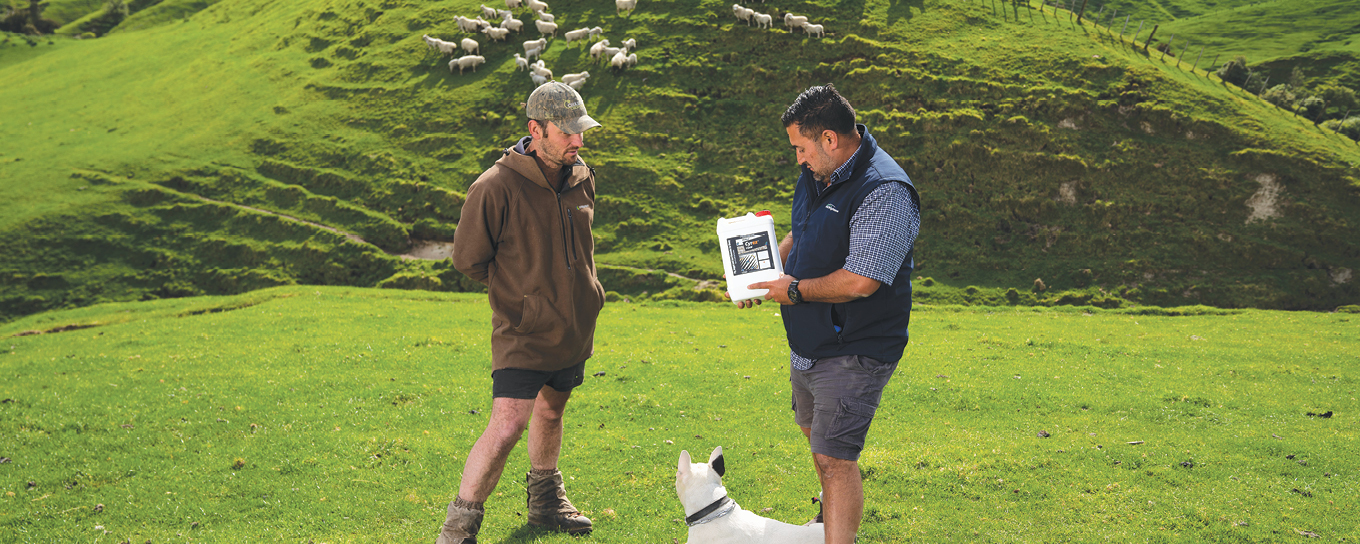 Gentle and effective flystrike protection | PGG Wrightson