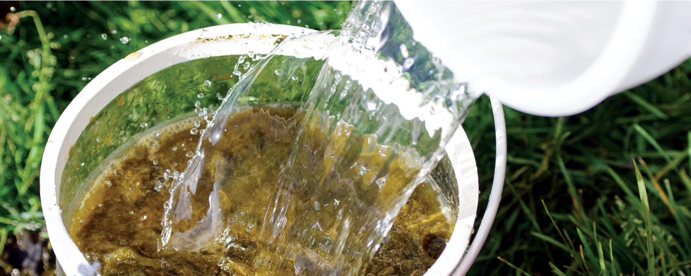 Effluent testing and use: knowing what is in your pond | PGG Wrightson