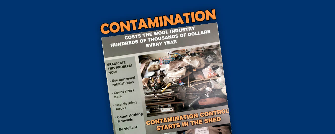 Wool News: Keeping your wool clip clean | PGG Wrightson