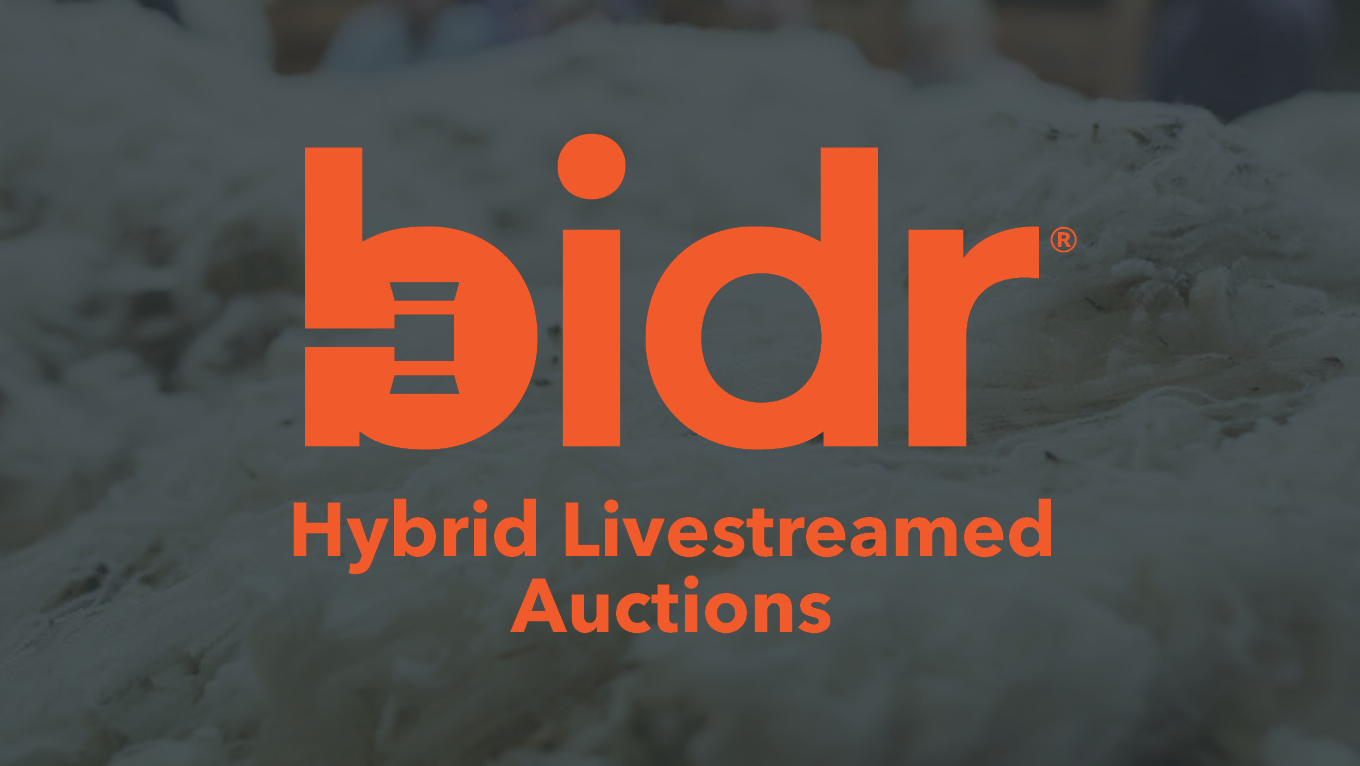 Wool News: Wool auction livestreams moving to bidr® | PGG Wrightson