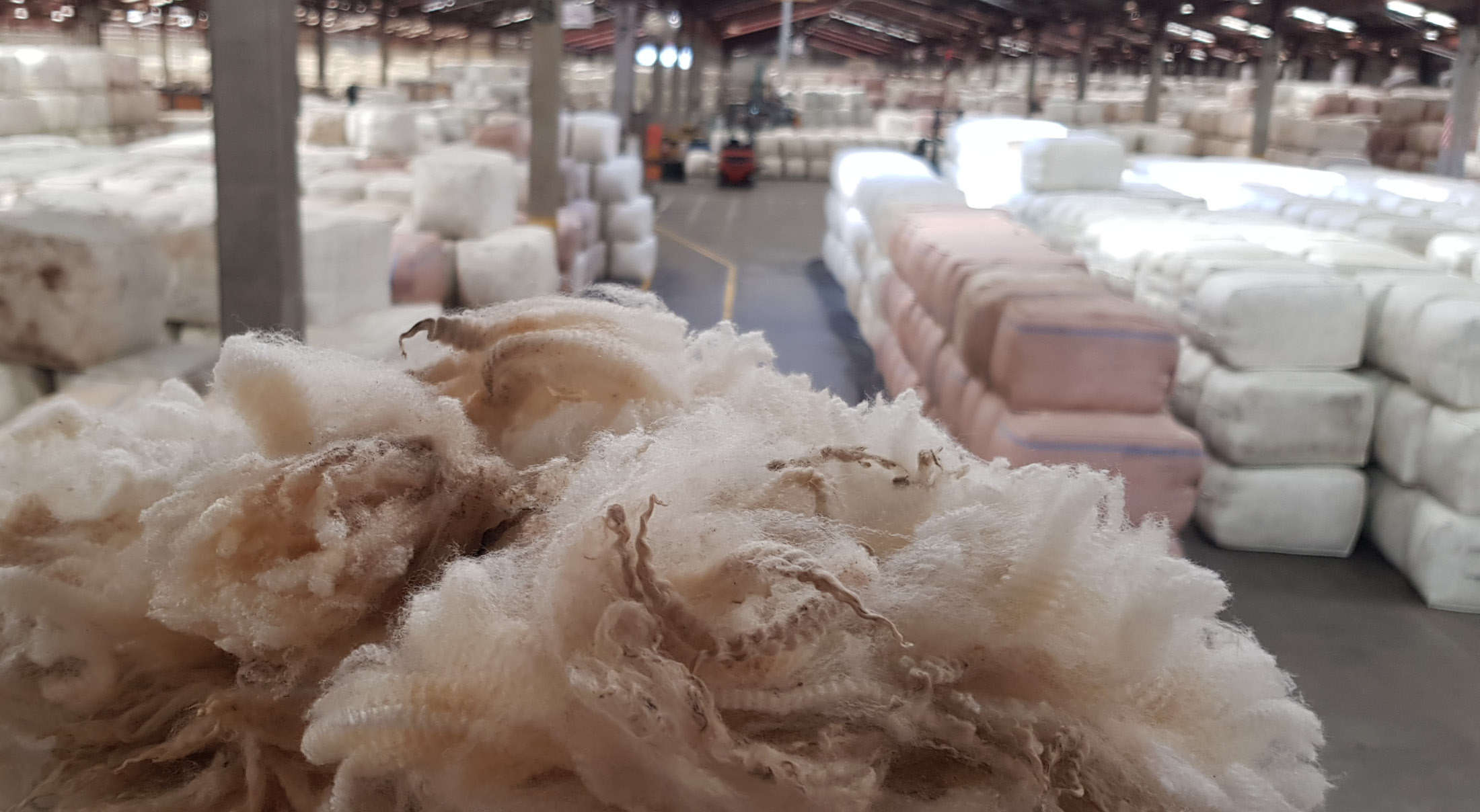 Wool Street Journal: Grower advice - Avoid being penalised for over ...