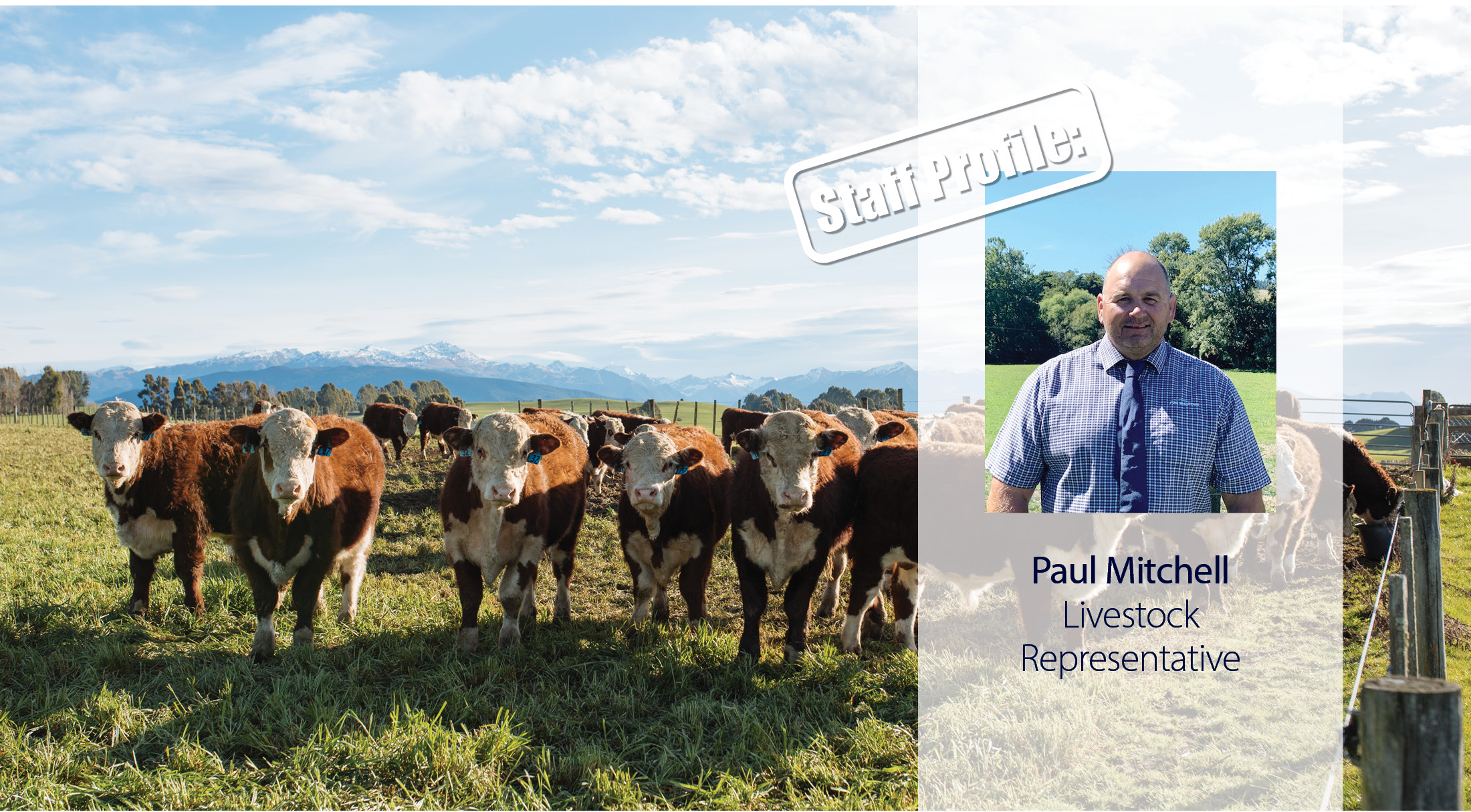 Staff profile – Paul Mitchell | PGG Wrightson