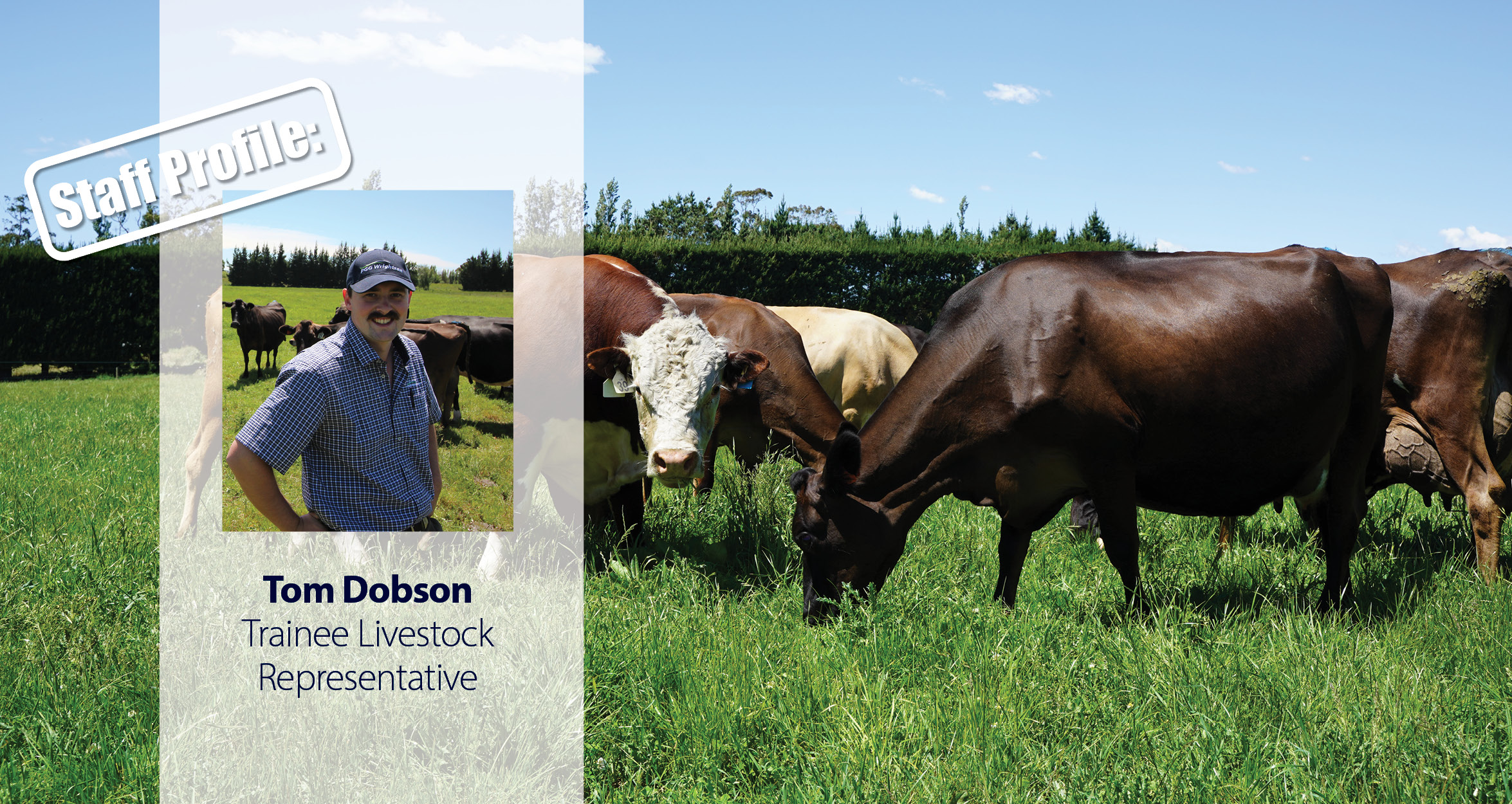 Over the Farm Gate: Staff profile – Tom Dobson | PGG Wrightson