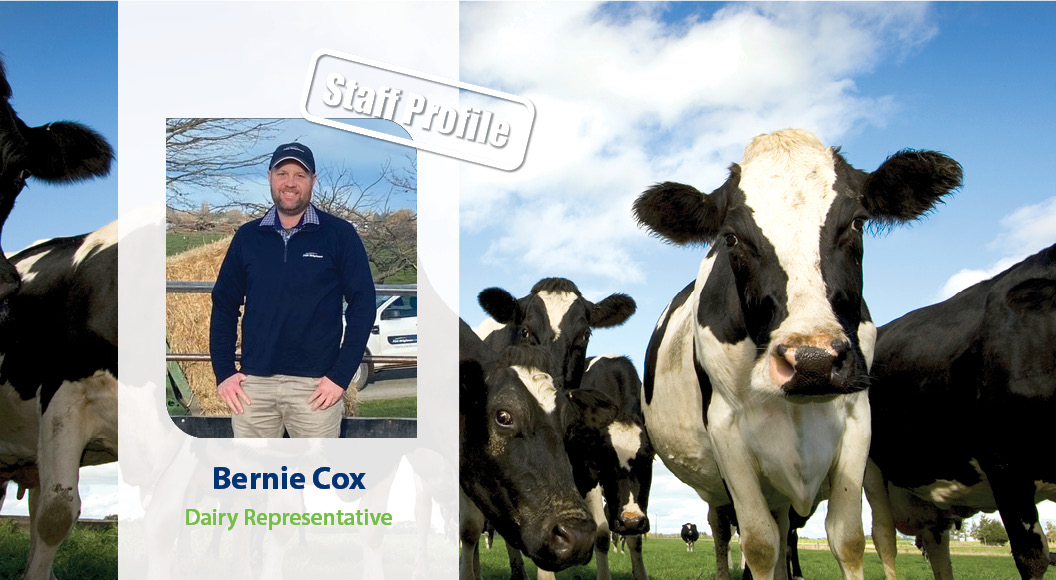 Staff Profile - Bernie Cox | PGG Wrightson