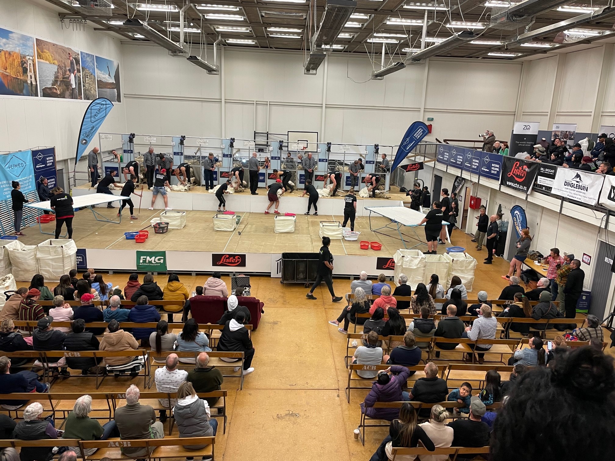 Tia Potae returns to New Zealand shearing sports team | PGG Wrightson