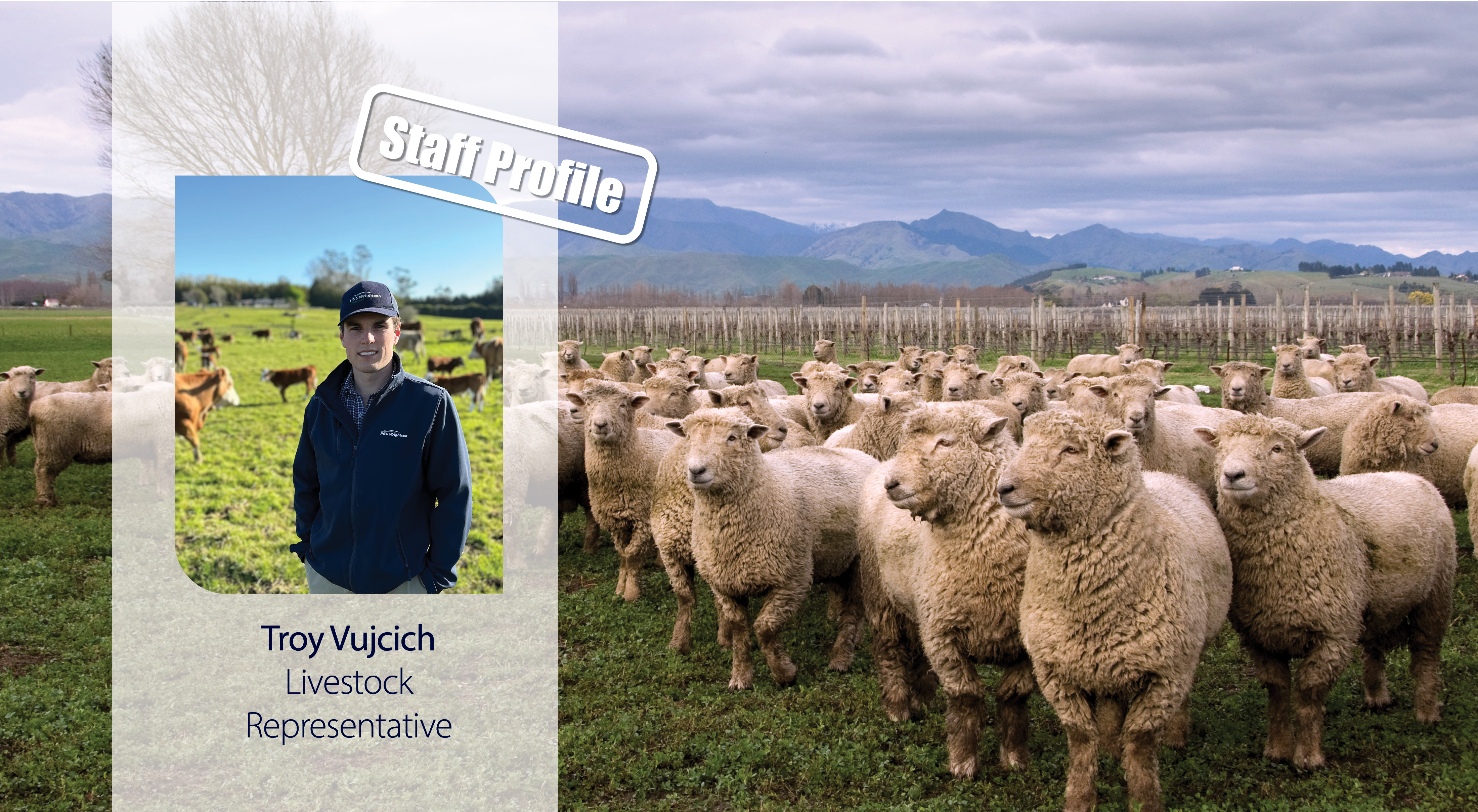 Staff profile – Troy Vujcich | PGG Wrightson