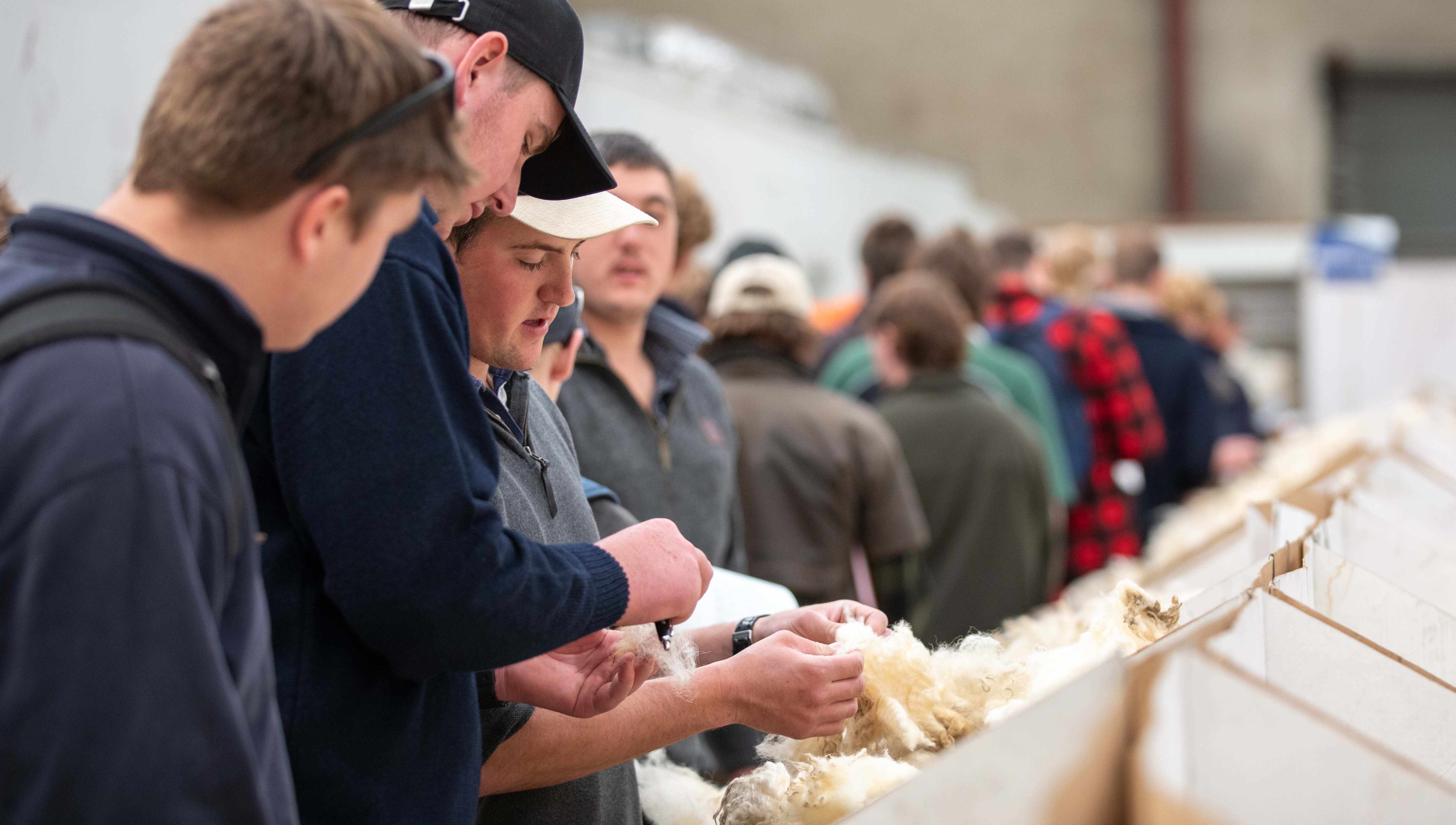 Bridging the gap: Educating next-generation farmers on the wool supply ...
