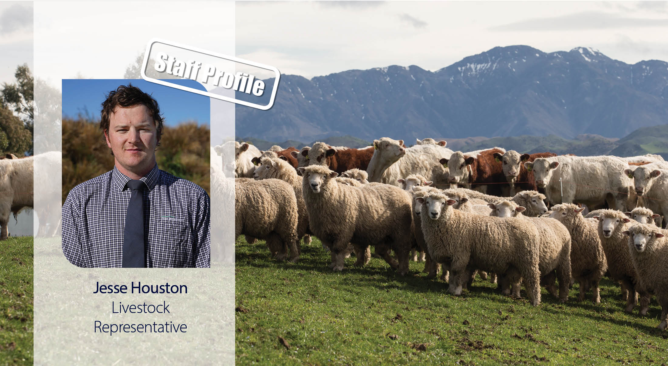Staff profile – Jesse Houston | PGG Wrightson