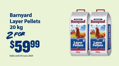 Helping Grow the Country | PGG Wrightson