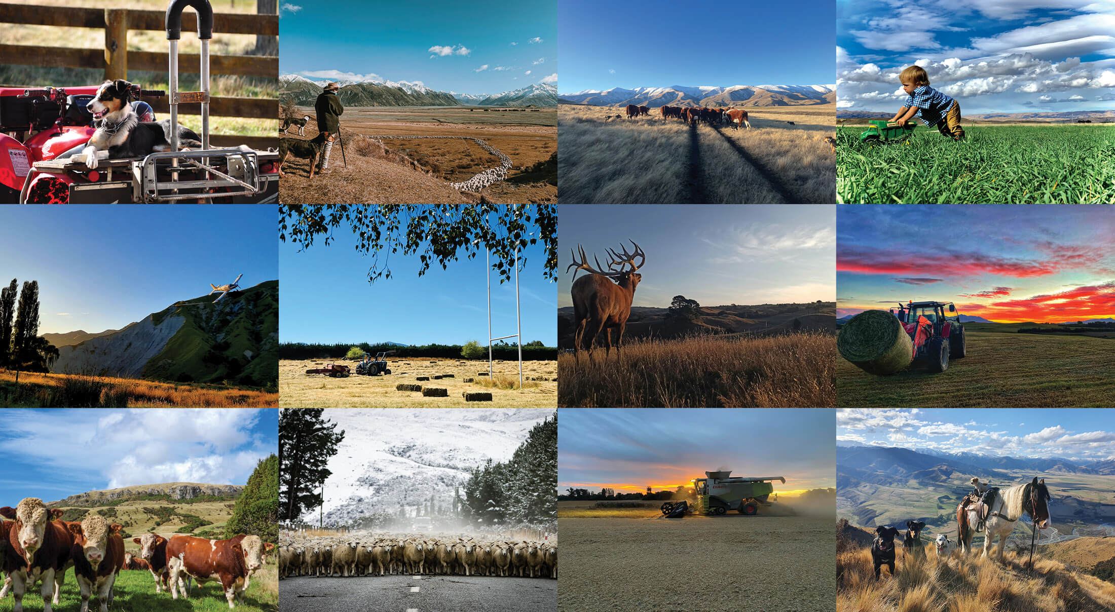Winners Announced for the LandMarks Photo Collection 2024 | PGG Wrightson