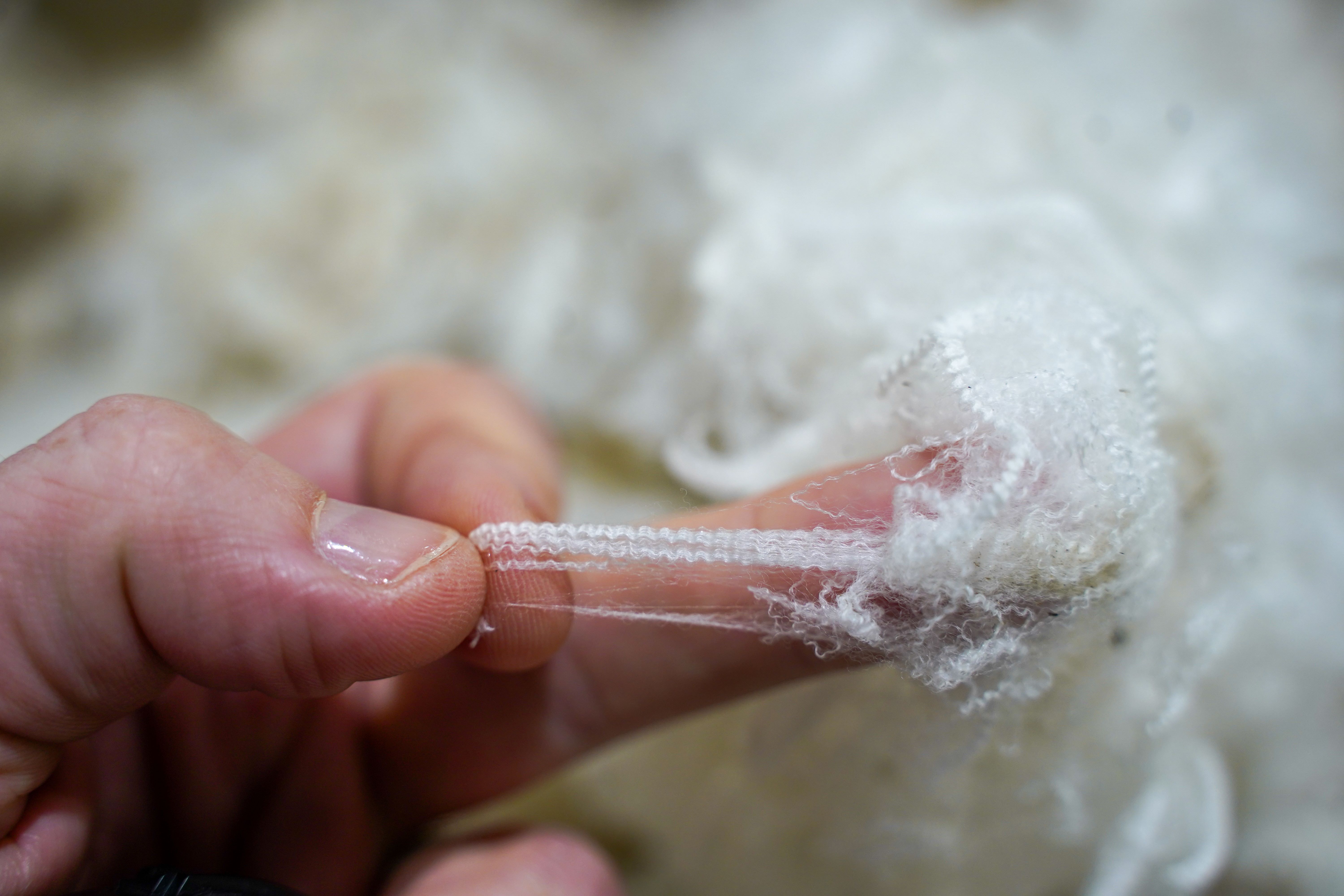 Ultra-fine fibers from ‘The Bend’ set new standard | PGG Wrightson