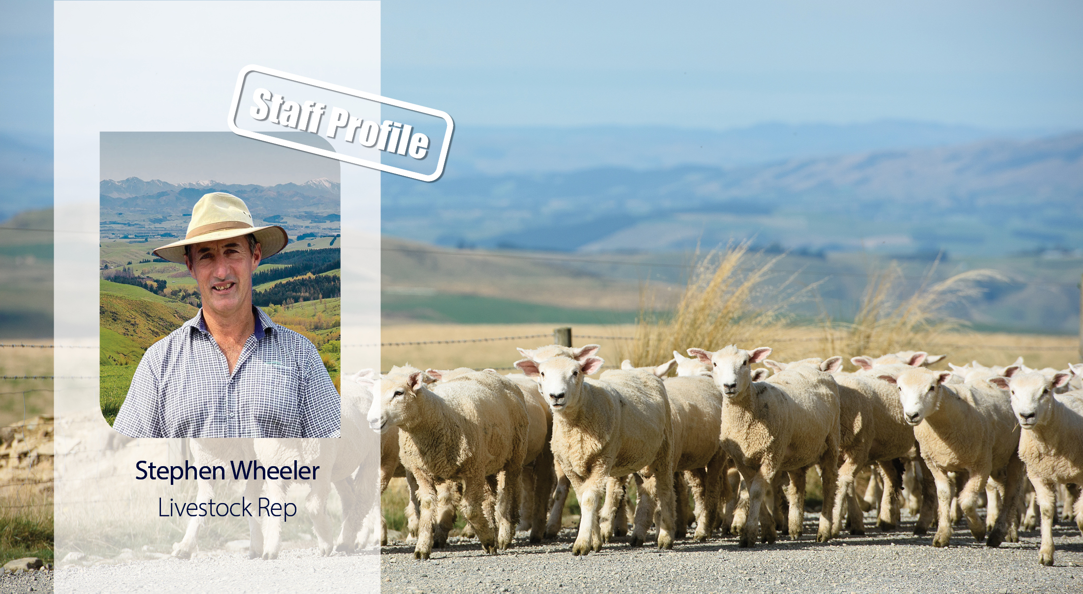 Stephen Wheeler – Thriving in the relationship business | PGG Wrightson