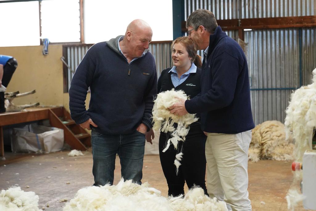The importance of investing in wool preparation | PGG Wrightson