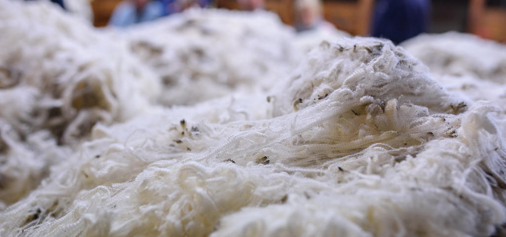 Wool market report: Market largely steady after recent price rises ...