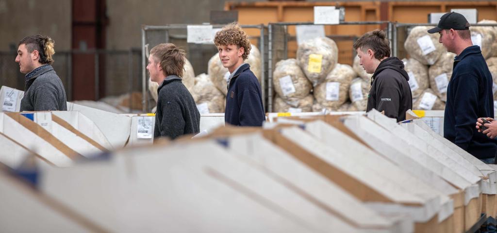Bridging the gap: Educating next-generation farmers on the wool supply ...