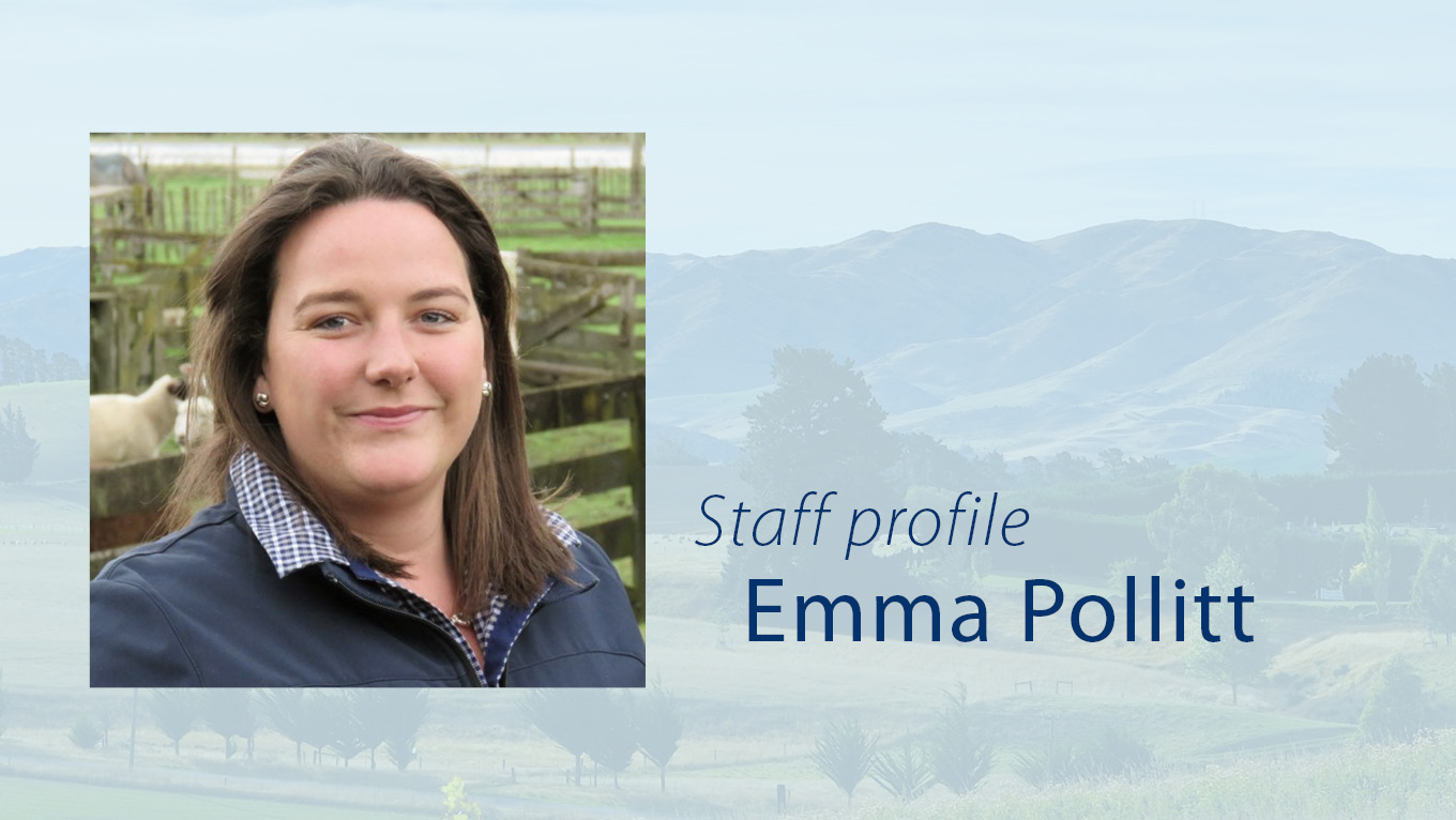 Livestock Market Update: Staff Profile - Emma Pollitt | PGG Wrightson