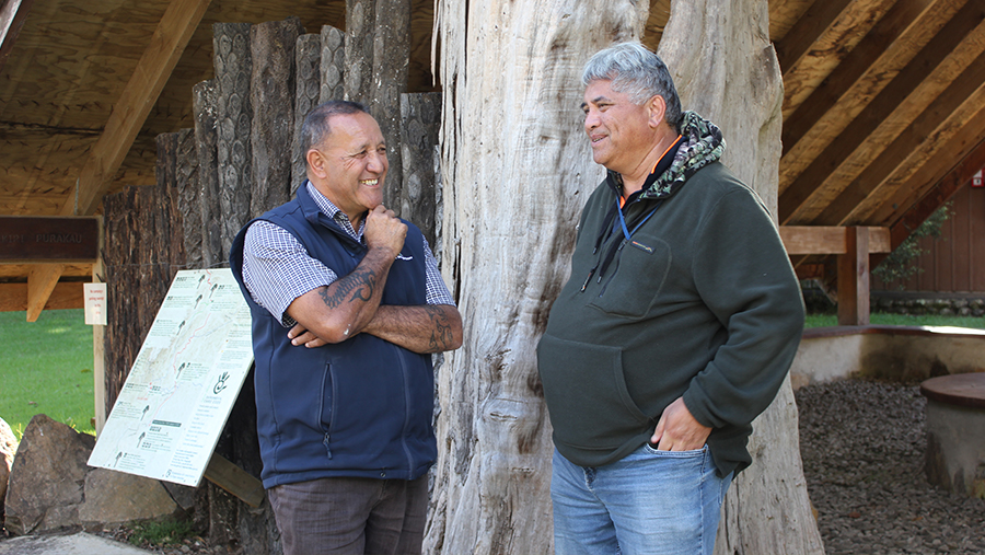 Māori Agribusiness Team | PGG Wrightson