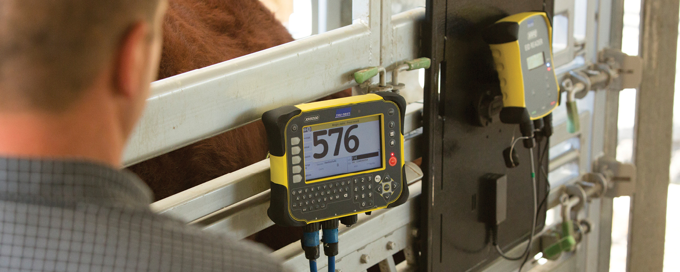 Enabling drenching strategies based on facts | PGG Wrightson