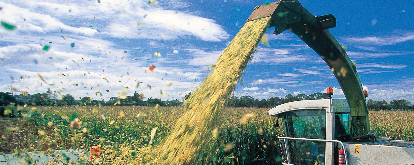 Creating a high-quality silage | PGG Wrightson