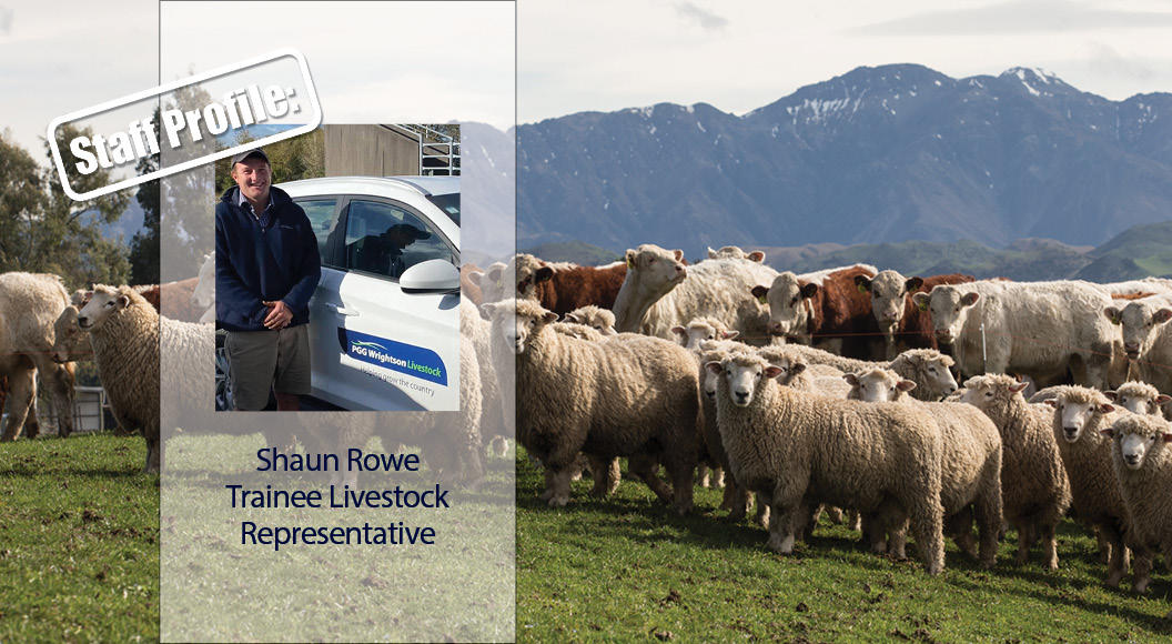 Over The Farm Gate: Staff profile – Shaun Rowe | PGG Wrightson