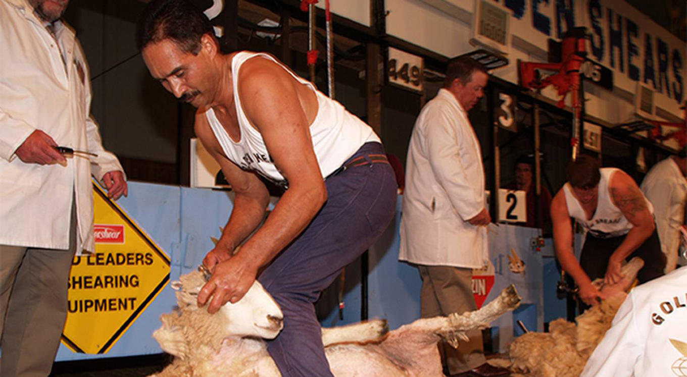 Samson Te Whata heads First Nations Australia team at NZ Merino Champs ...