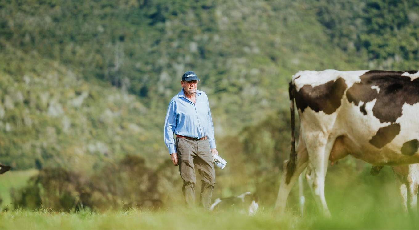 Over the Farm Gate: Dairy herd settlements satisfactory following ...