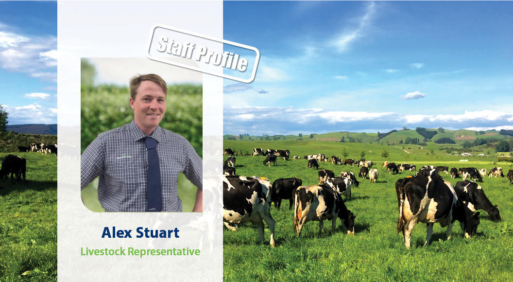 Staff profile – Alex Stuart | PGG Wrightson