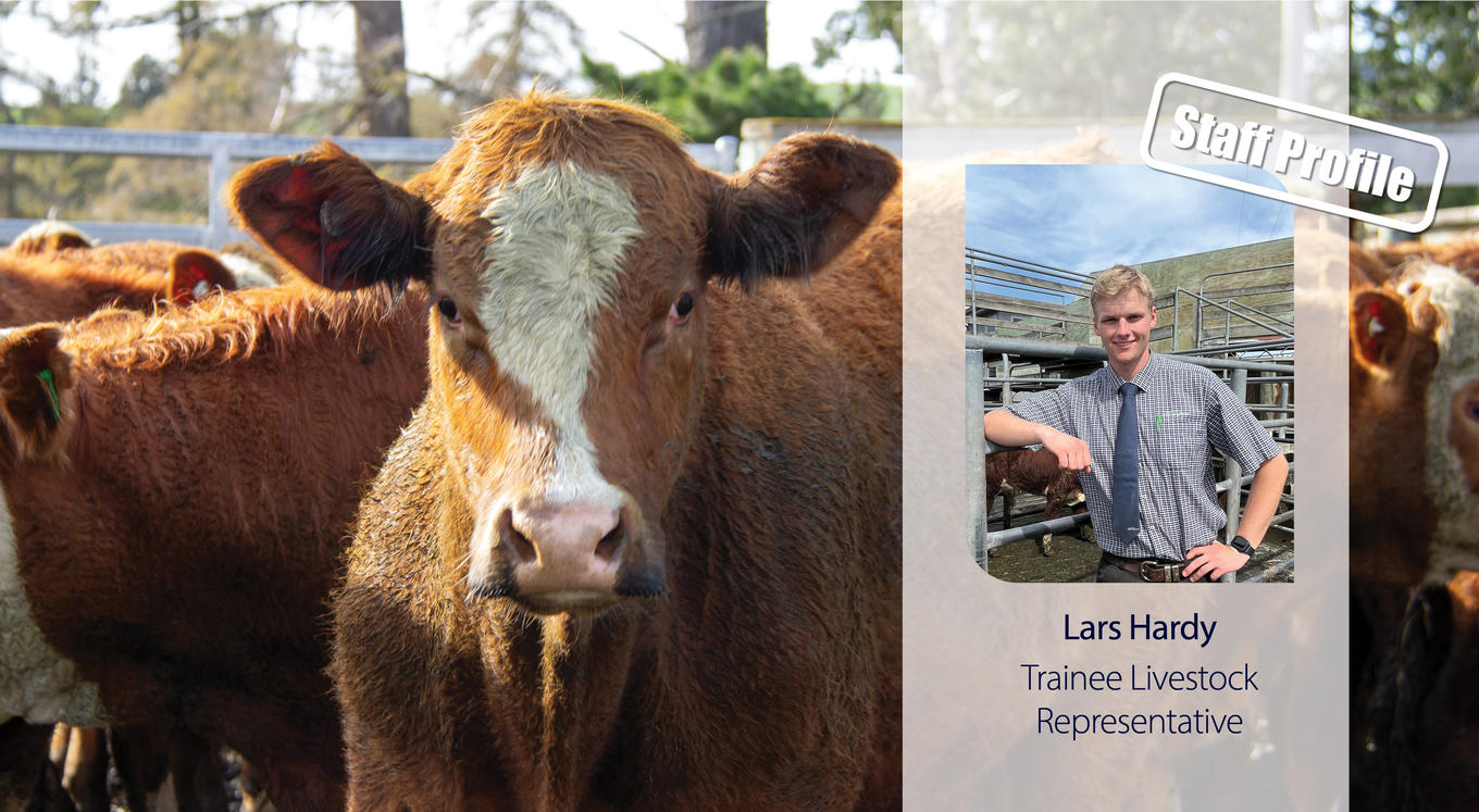 Staff profile – Lars Hardy | PGG Wrightson