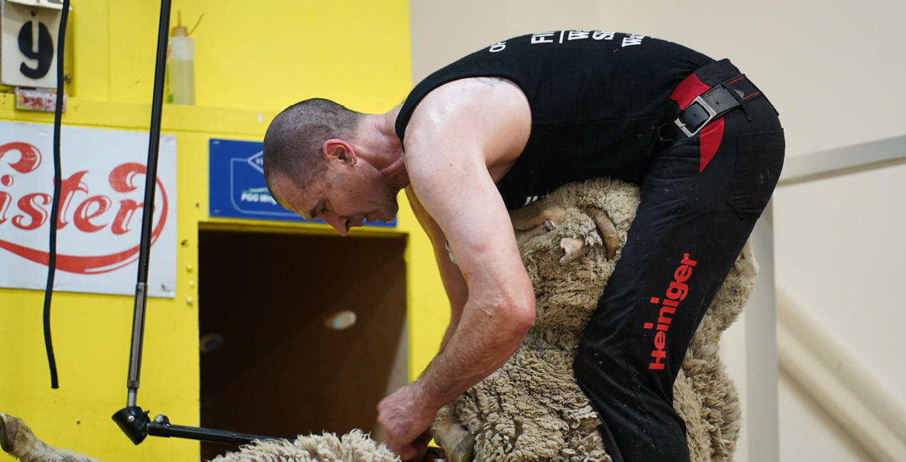 Nathan Stratford on target for 20th National Shearing Circuit final ...