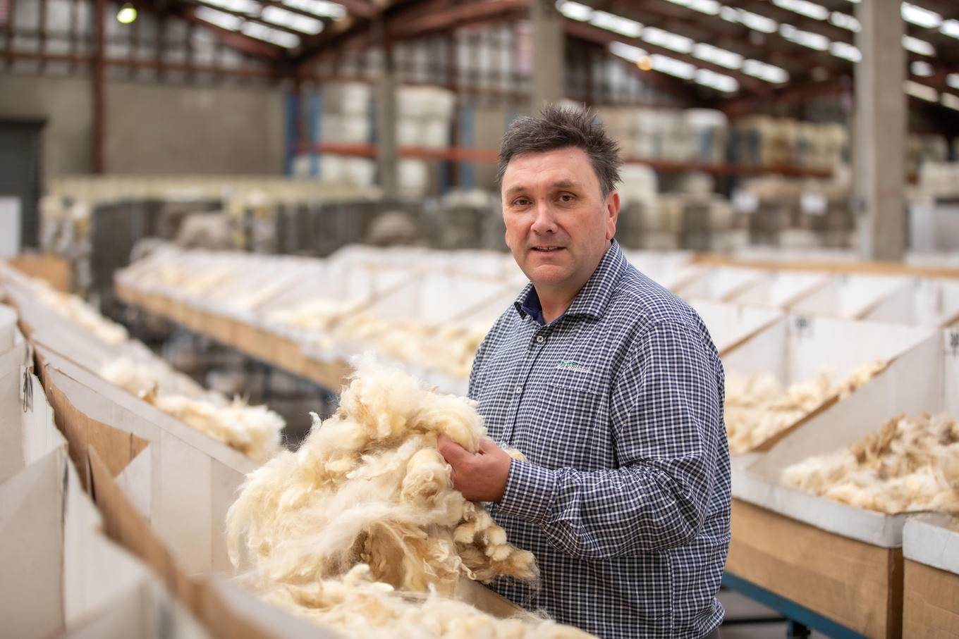 Wool Report: Strong sales, educational initiatives, and shearing ...