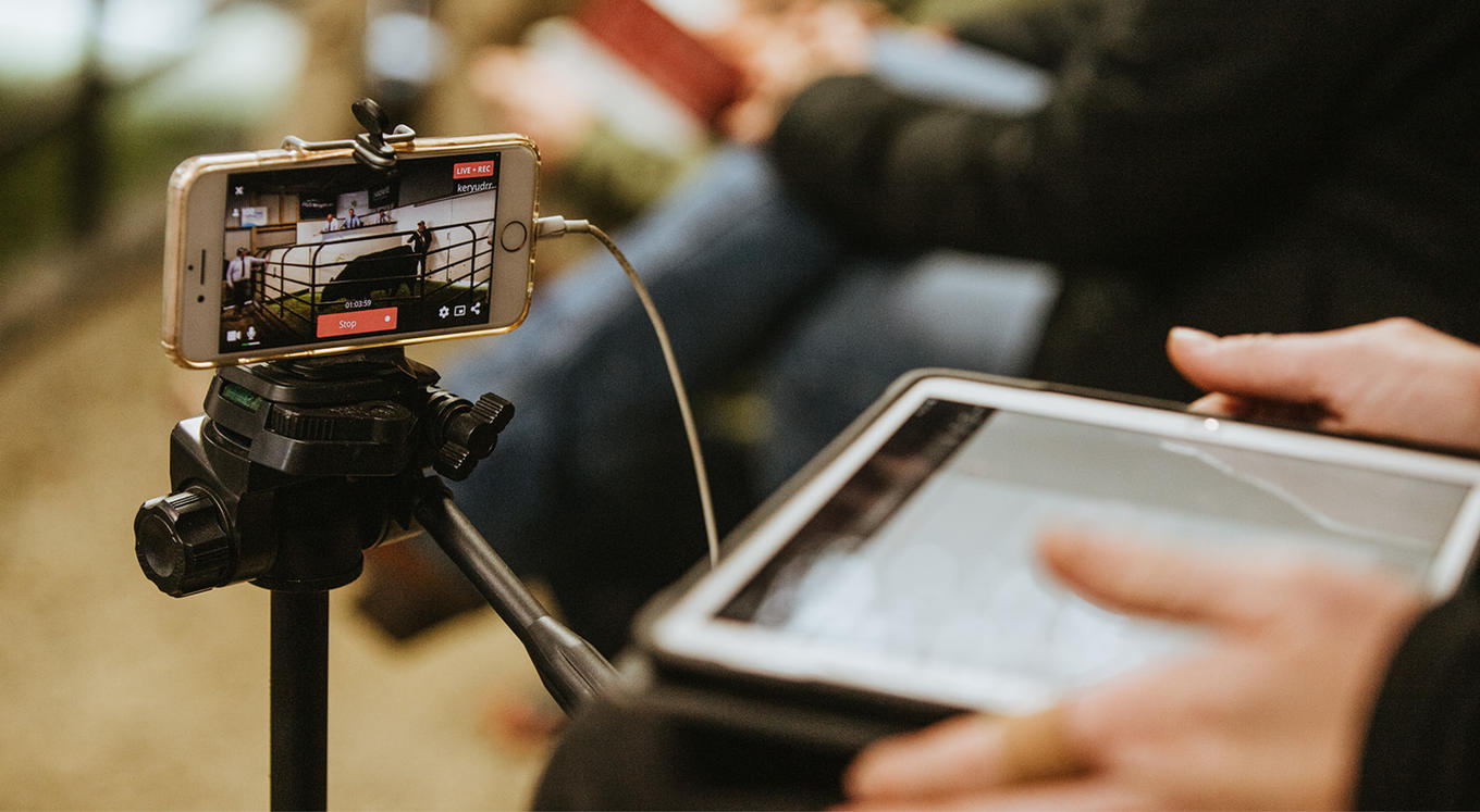 Hybrid bidr option gaining traction with bull sales | PGG Wrightson