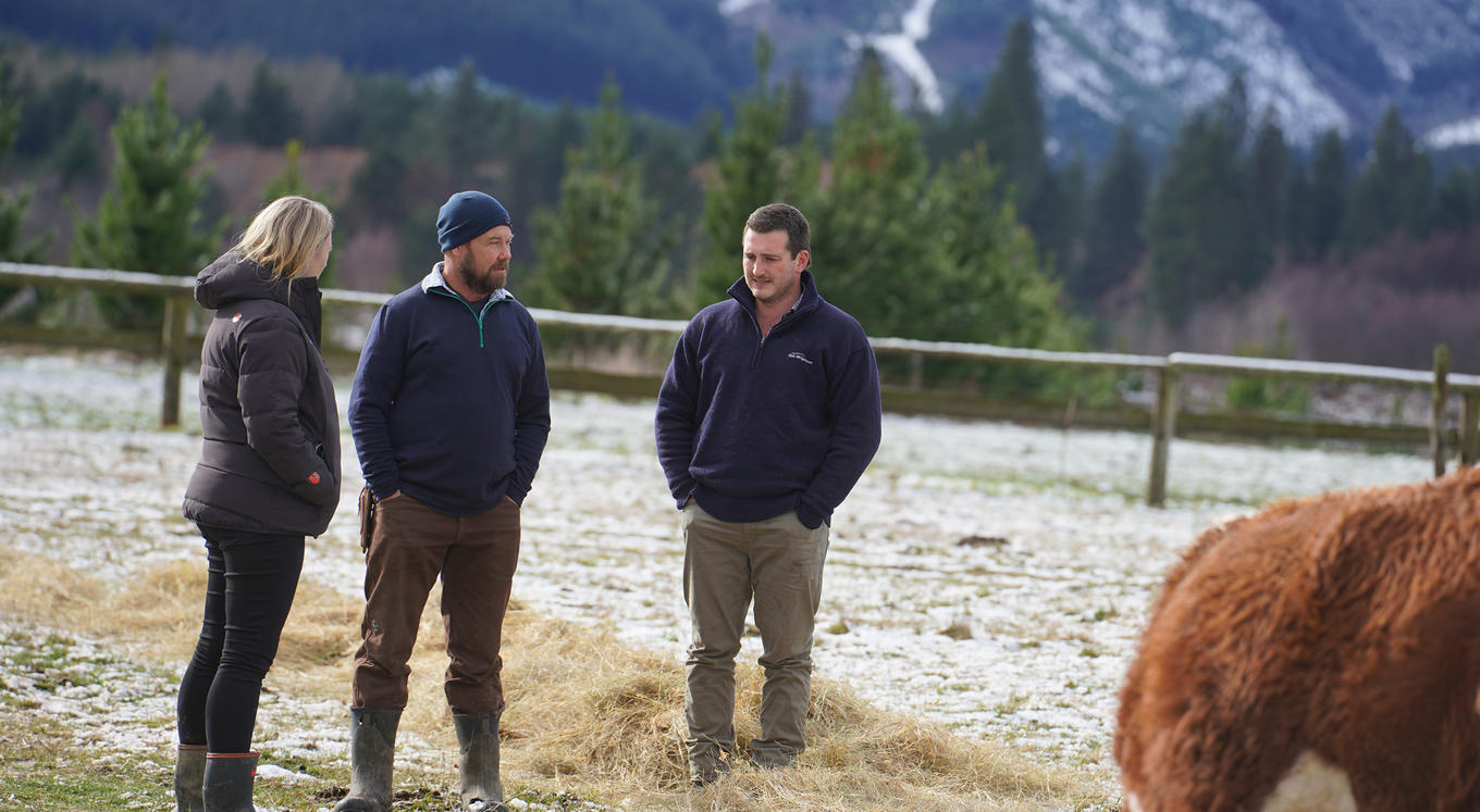 North Canterbury Farmer Dave Long Benefits from Go-Stock | PGG Wrightson