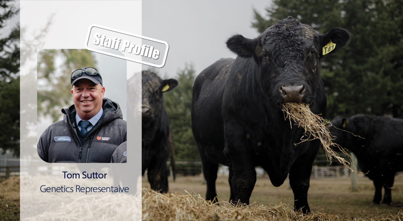 Staff Profile - Tom Suttor | PGG Wrightson