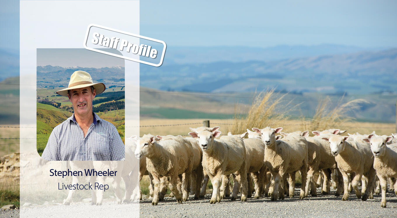 Stephen Wheeler – Thriving in the relationship business | PGG Wrightson