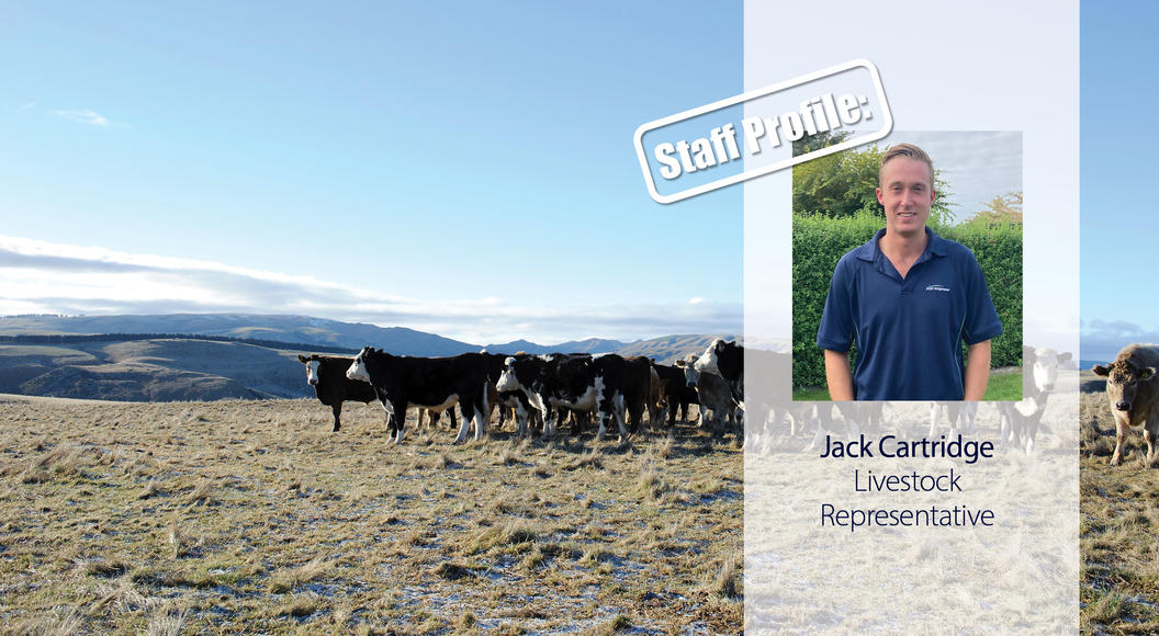 Livestock | PGG Wrightson