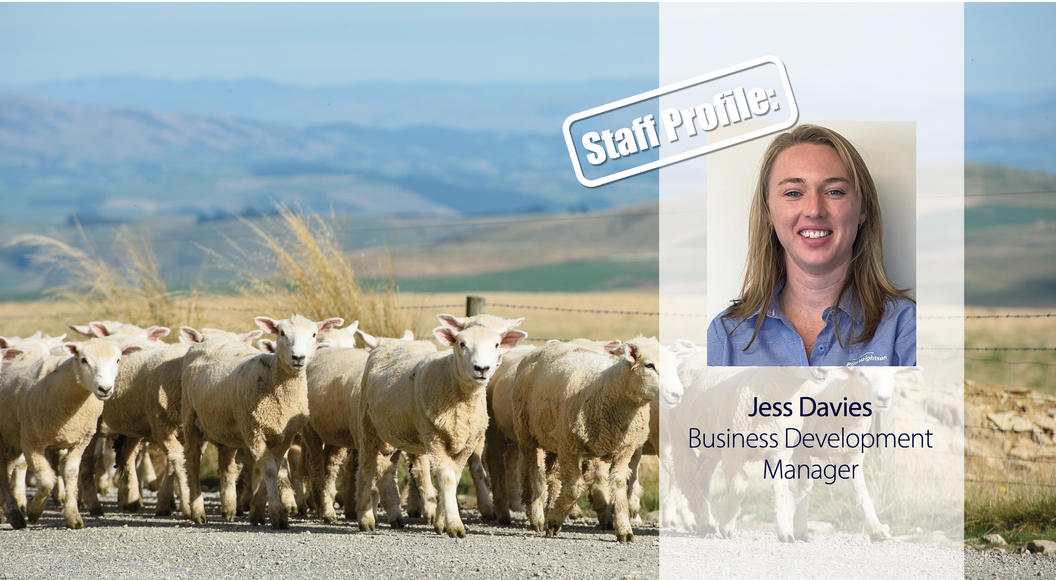 Livestock | PGG Wrightson