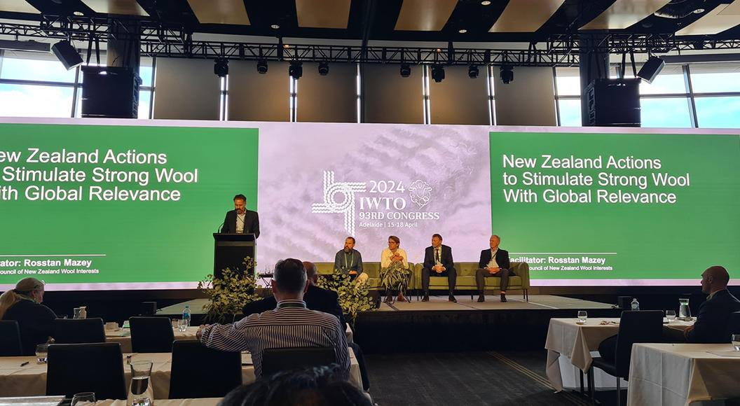 Wool News | PGG Wrightson