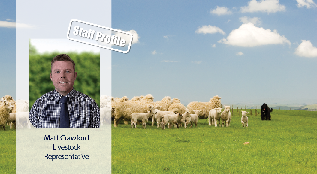 Helping Grow the Country | PGG Wrightson