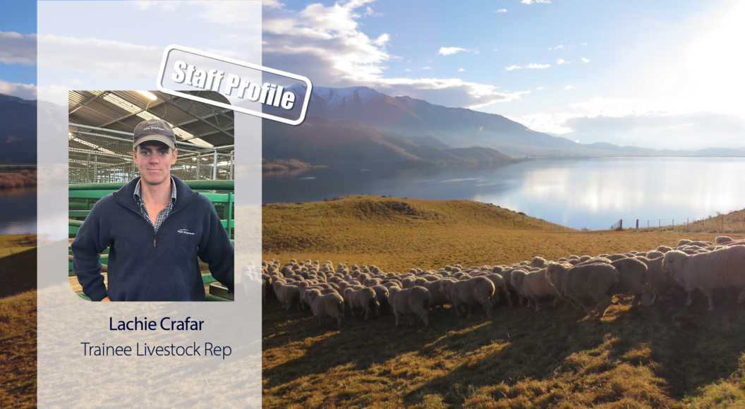 Helping Grow the Country | PGG Wrightson