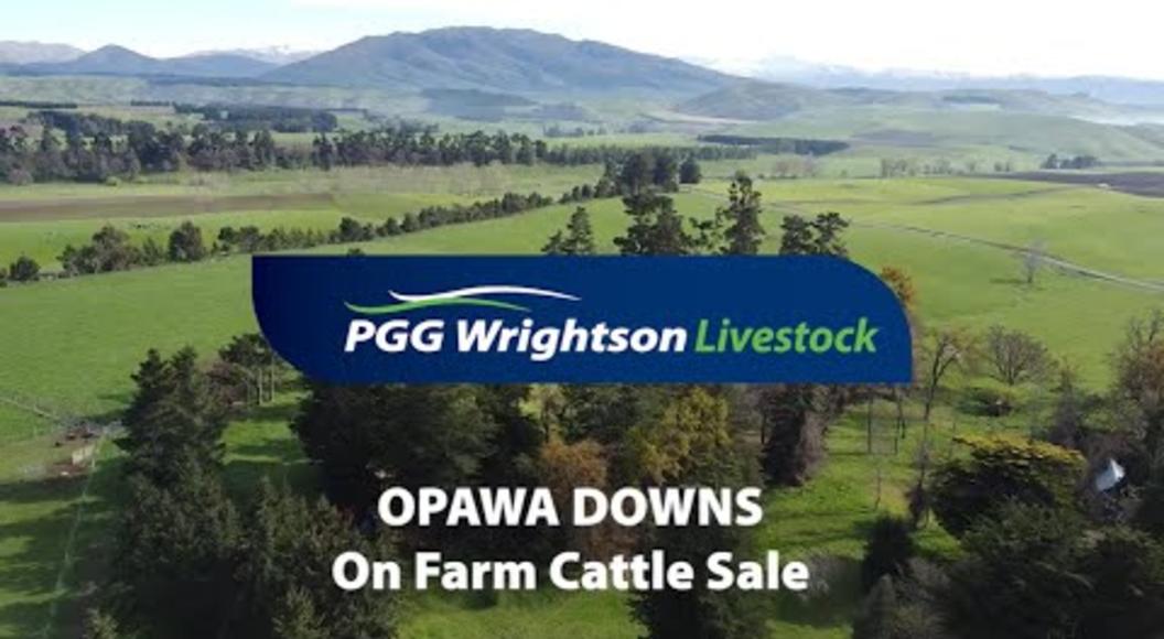 Livestock | PGG Wrightson